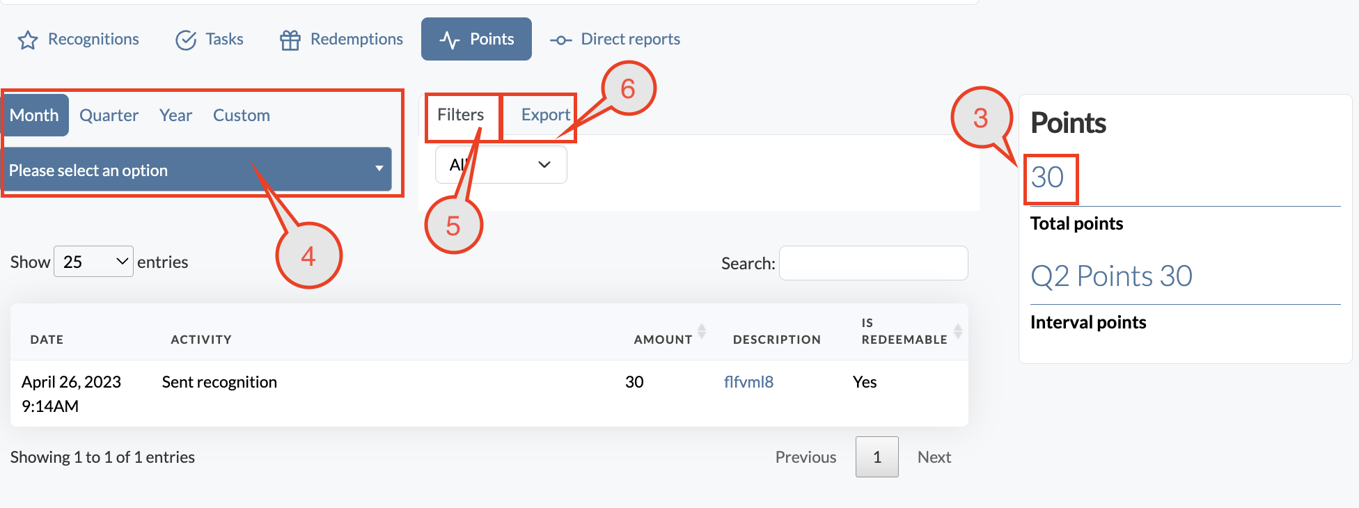 Points: Understanding the Different User Displays – Recognize