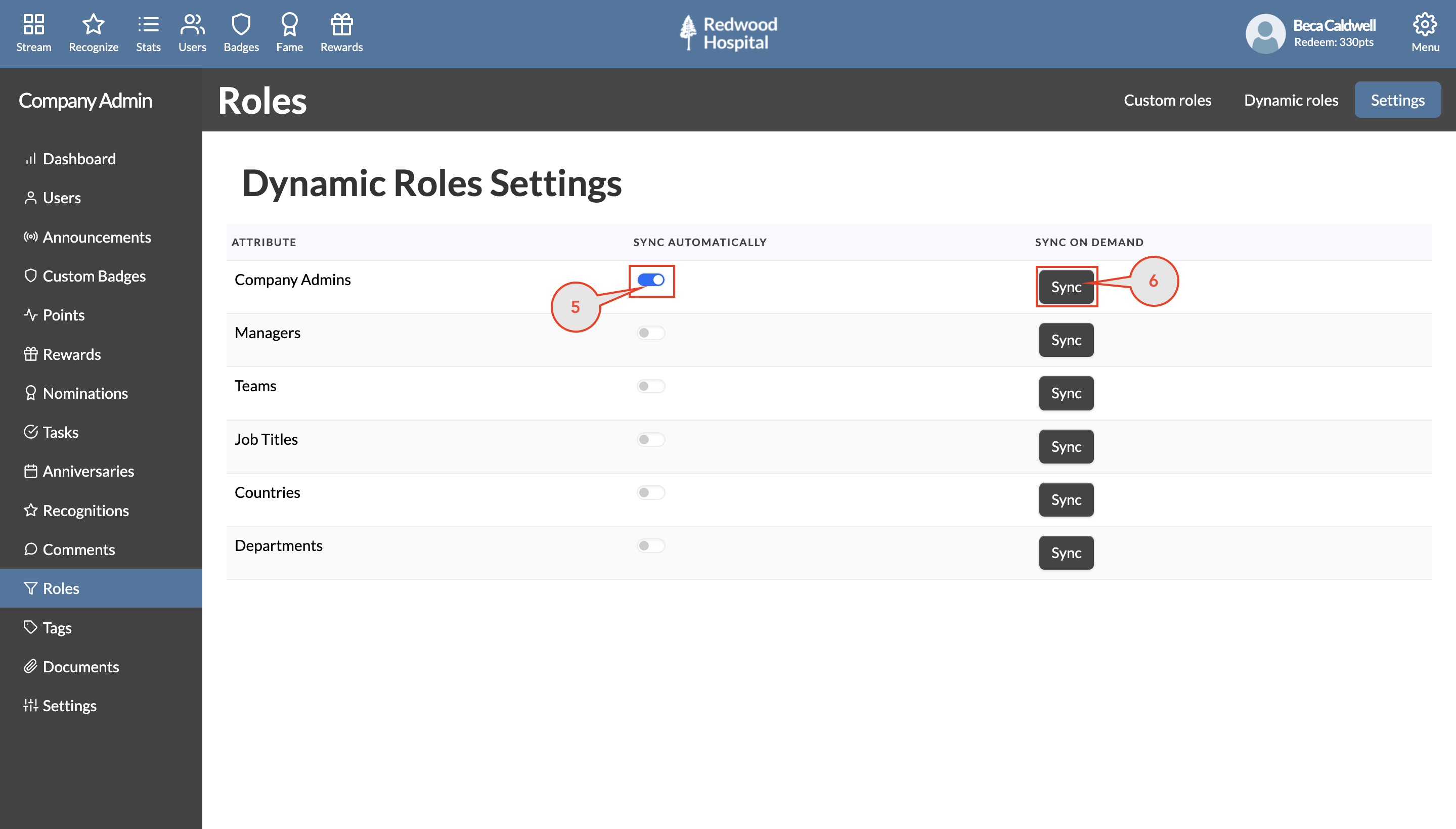 Dynamic Roles Overview – Recognize