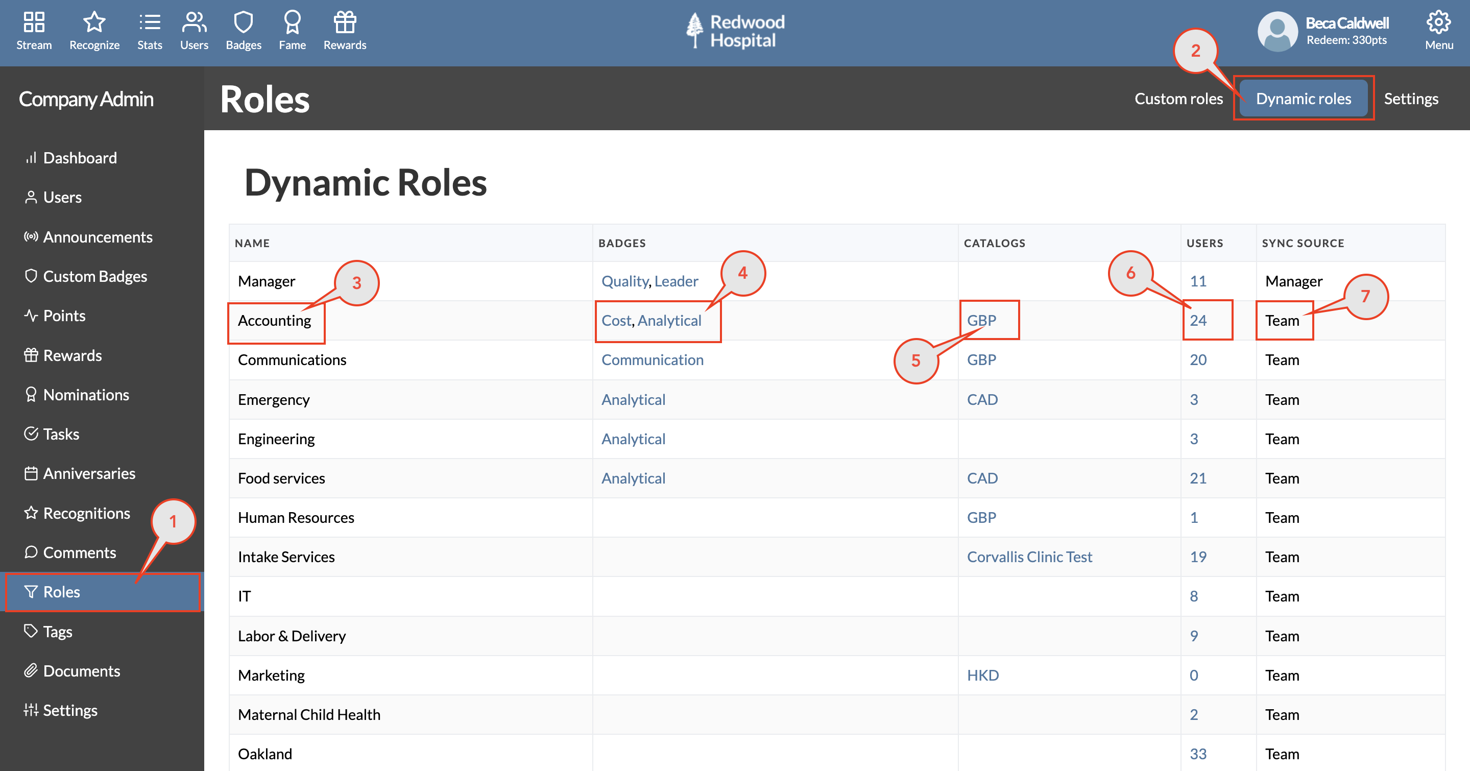 Dynamic Roles Overview – Recognize