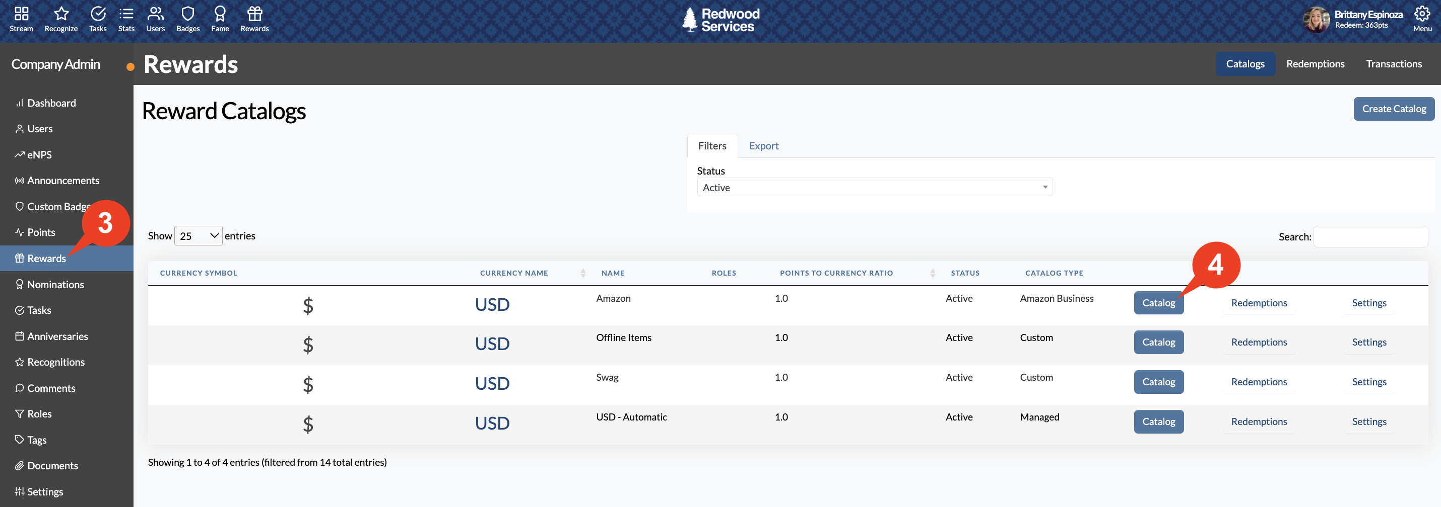 Checking Your Organization's Reward Balance – Recognize