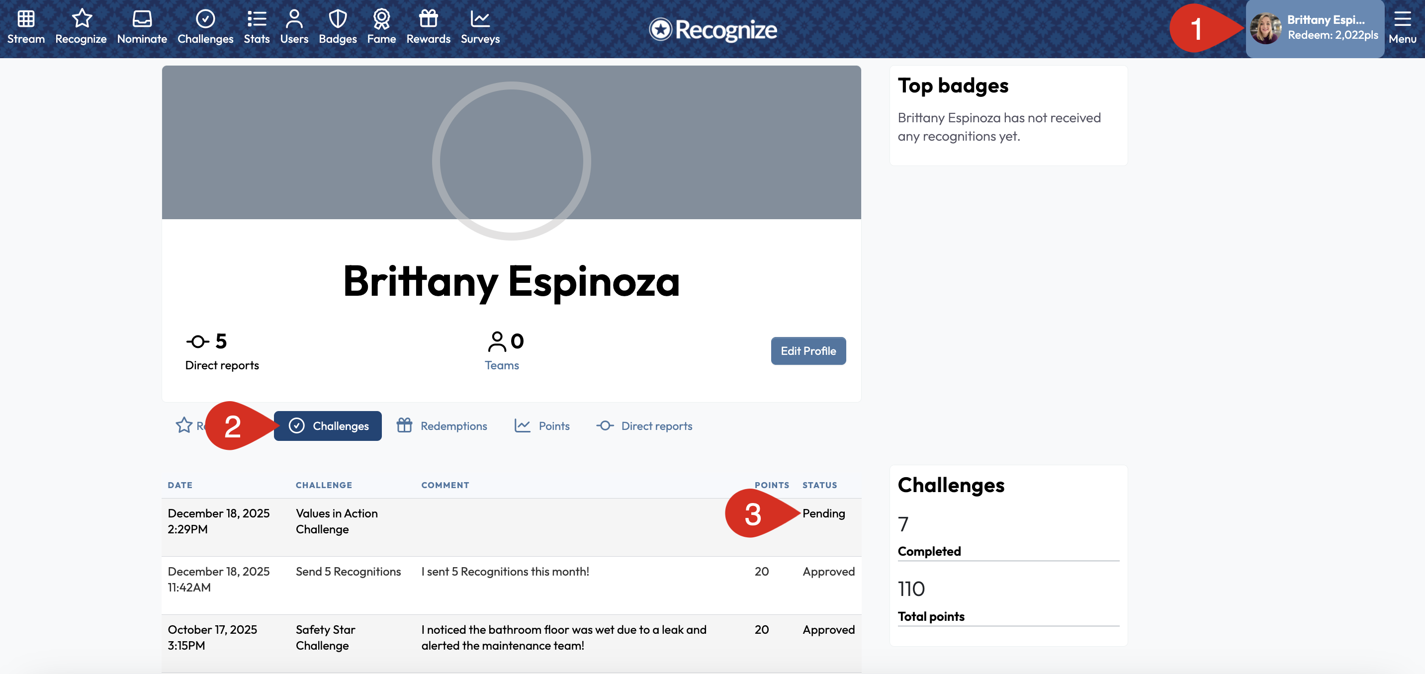 Challenges (Formerly Tasks): Step-by-Step Instructions – Recognize